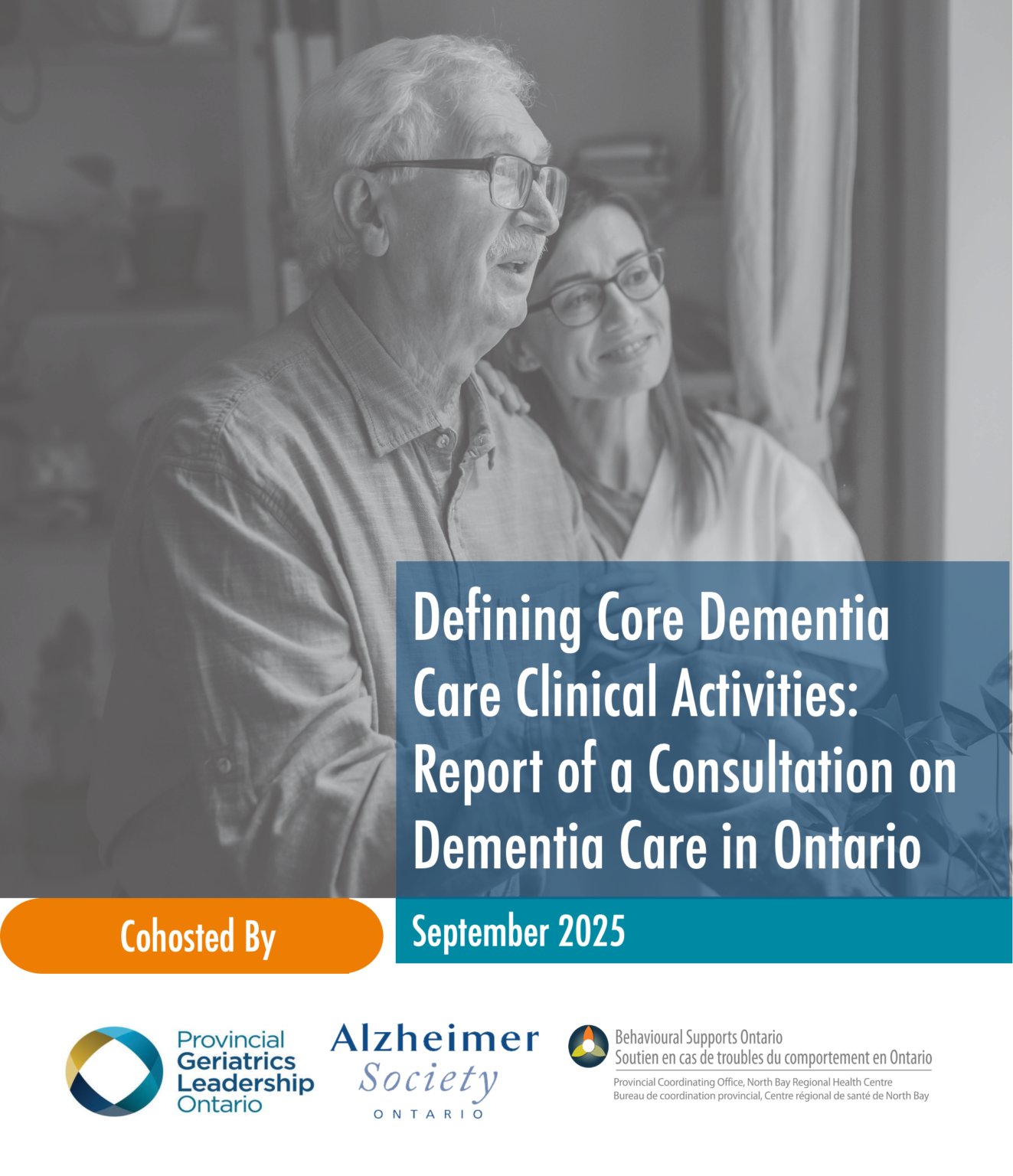 Defining Core Dementia Care Clinical Activities - Report - Provincial ...